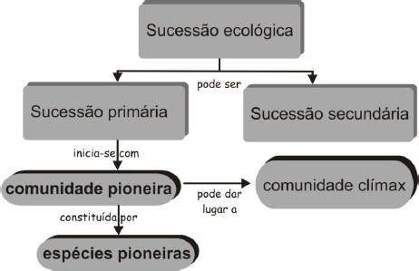 IMEPAC 2012/1 Observe o esquema dos tipos de sucessão ecológica. | Estuda.com