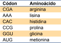 CEFSA 2017/2 A tabela relaciona alguns códons do RNA mensageiro aos ...