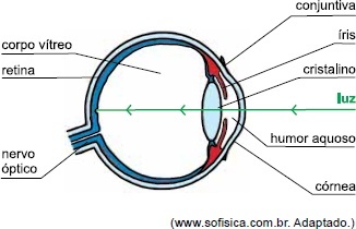 Questões de Física sobre Óptica | Estuda.com