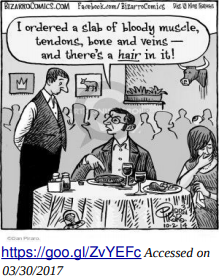 URCA 2017/2 According to the strip, we can conclude that: | Estuda.com