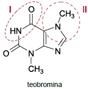 Estrutura Da Teobromina Fórmula Química Da Teobromina Estrutura