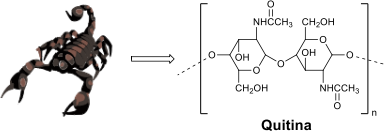 FPS 2019/2 O escorpião é um animal invertebrado, da classe dos | Estuda.com