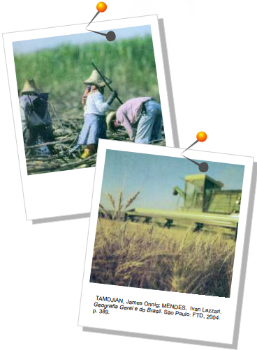 UFSM 2010 Semear foi preciso - a invenção da agricultura, há mais ou ...