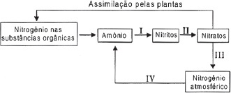 UESB 2016 Analisando-se o esquema, que representa o ciclo do | Estuda.com