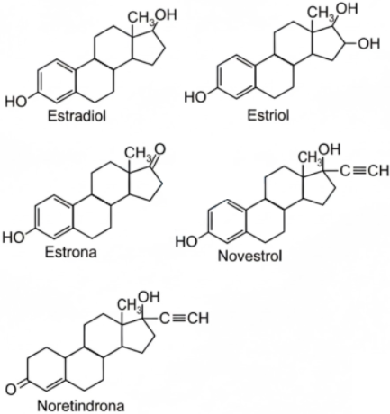 Questões de Química sobre Química orgânica | Estuda.com