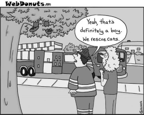 CFO-BM 2022 The objective of the text is - Estuda.com ENEM