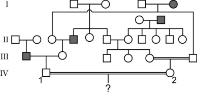 Via Da Alcaptonuria Alkaptonuria: Diagnostic Odyssey Unraveling A Rare