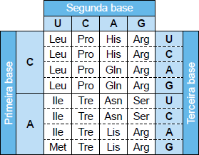 Codons De Aminoacidos