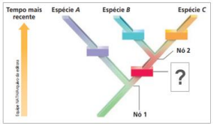 UNIP 2022 Observe o cladograma a seguir: O cladograma simplificado ...