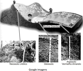 Unichristus 2017/1 INFLUÊNCIA DO RELEVO NAS CARACTERÍSTICAS DOS SOLOS ...