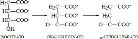 Unioeste 2018 No Ciclo do ácido cítrico, a conversão do isocitrato em ...