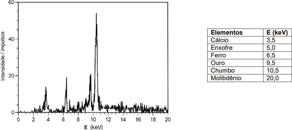 São Leopoldo Mandic (Araras) 2019 O uso de plantas como biomonitores da ...
