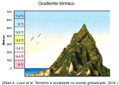FAMERP 2017 O gradiente térmico ilustrado na imagem é explicado pela ...