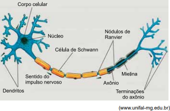 Estuda.com ENEM - O maior site de questões para o ENEM e Vestibulares ...