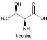 FMJ 2016 A treonina é um aminoácido essencial (ou seja, um | Estuda.com
