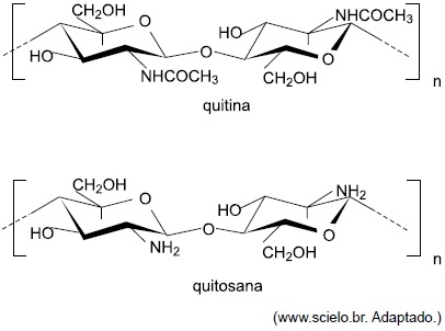 UNIFAE 2016 Quitina é um polímero natural presente na estrutura do ...