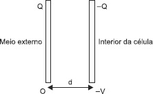Unit-SE 2015 A figura representa o modelo elétrico de uma biomembrana ...