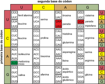 FEMA 2016 A tabela apresenta o código genético, com os códons e os ...