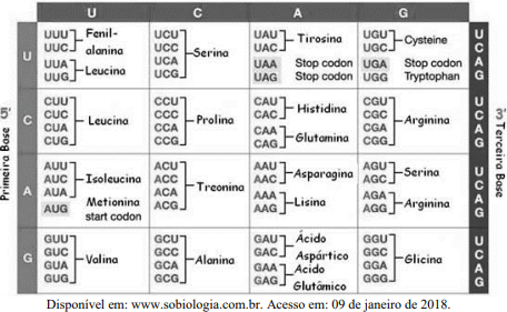 UVV 2018/2 A informação genética do DNA, formada por um alfabeto de 4 ...