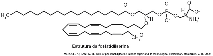 ENEM PPL 2012 A fosfatidilserina é um fosfolipídio aniônico cuja ...