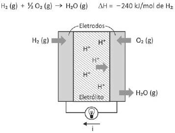 FUVEST (USP) 2017 Células a combustível são opções viáveis para gerar ...