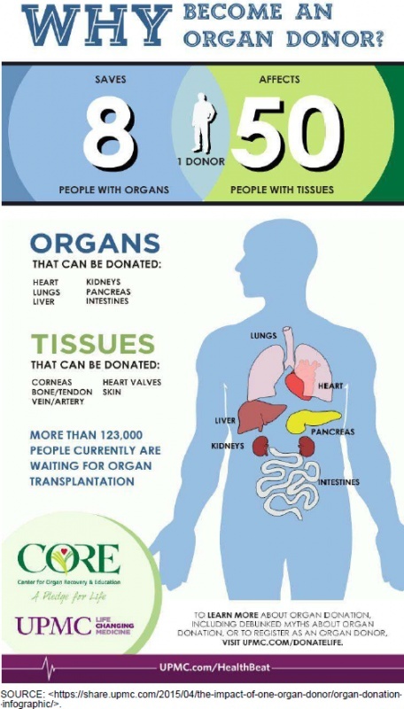 USF 2018/2 Read the infographic carefully.Analyze the information from ...