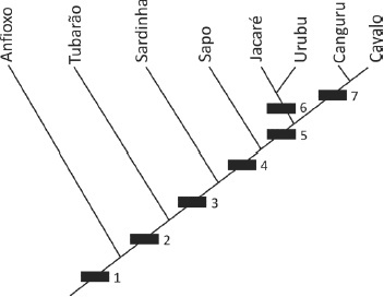 FUVEST (USP) 2015 Considere a árvore filogenética abaixo. | Estuda.com