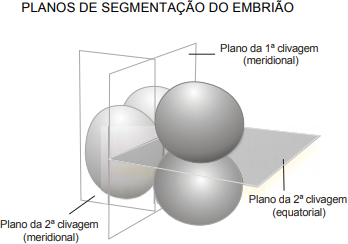 FCMMG 2016 No esquema apresentado, observa-se que os dois primeiros ...